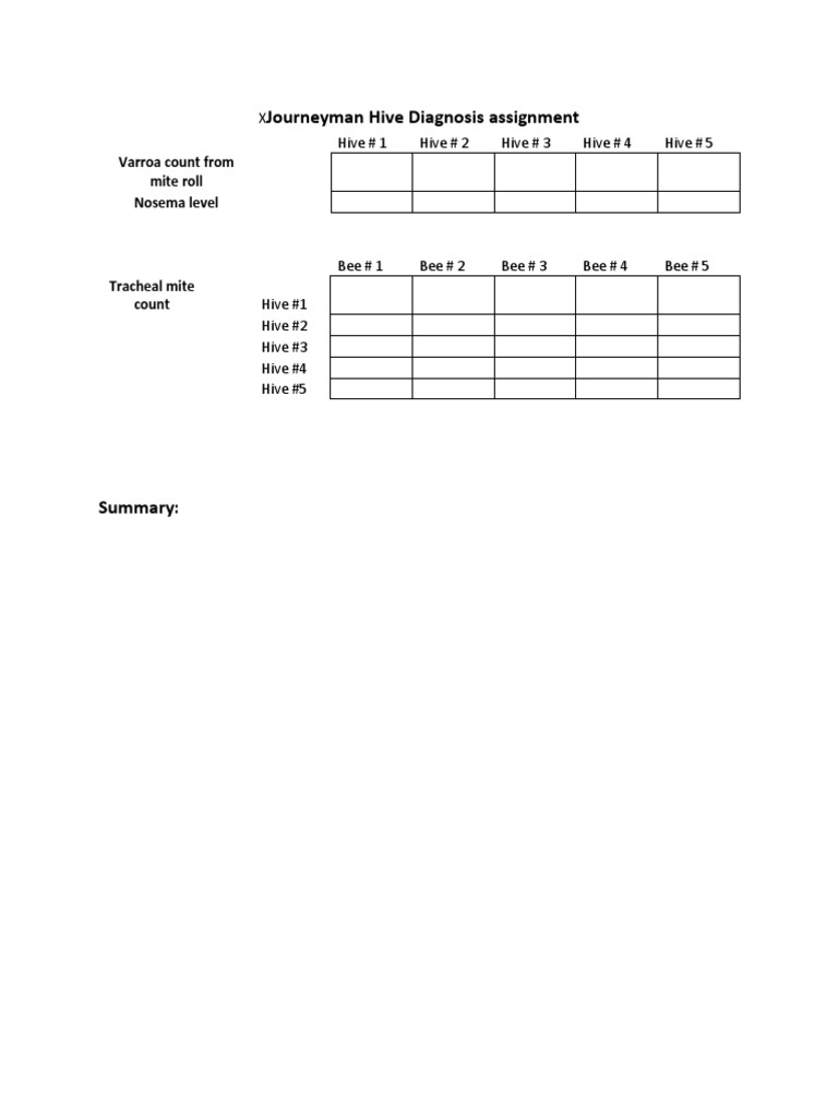 Journeyman Hive Diagnosis Assignment | PDF