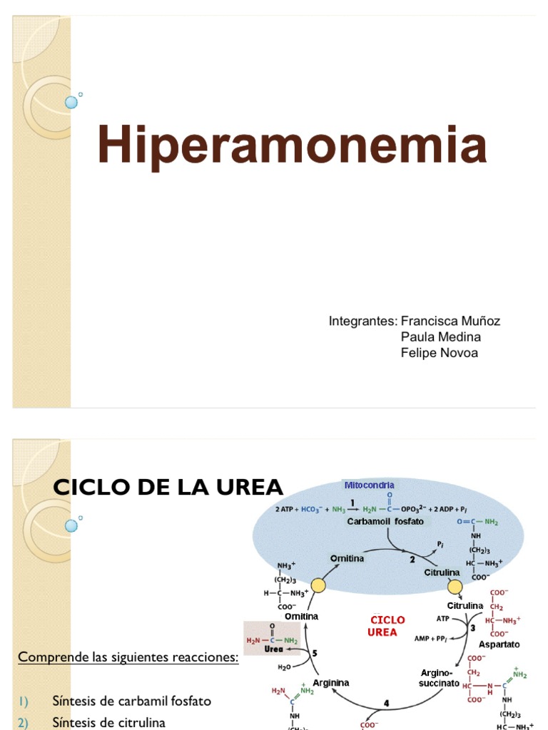 Bioquimica Hiperamonemia | PDF