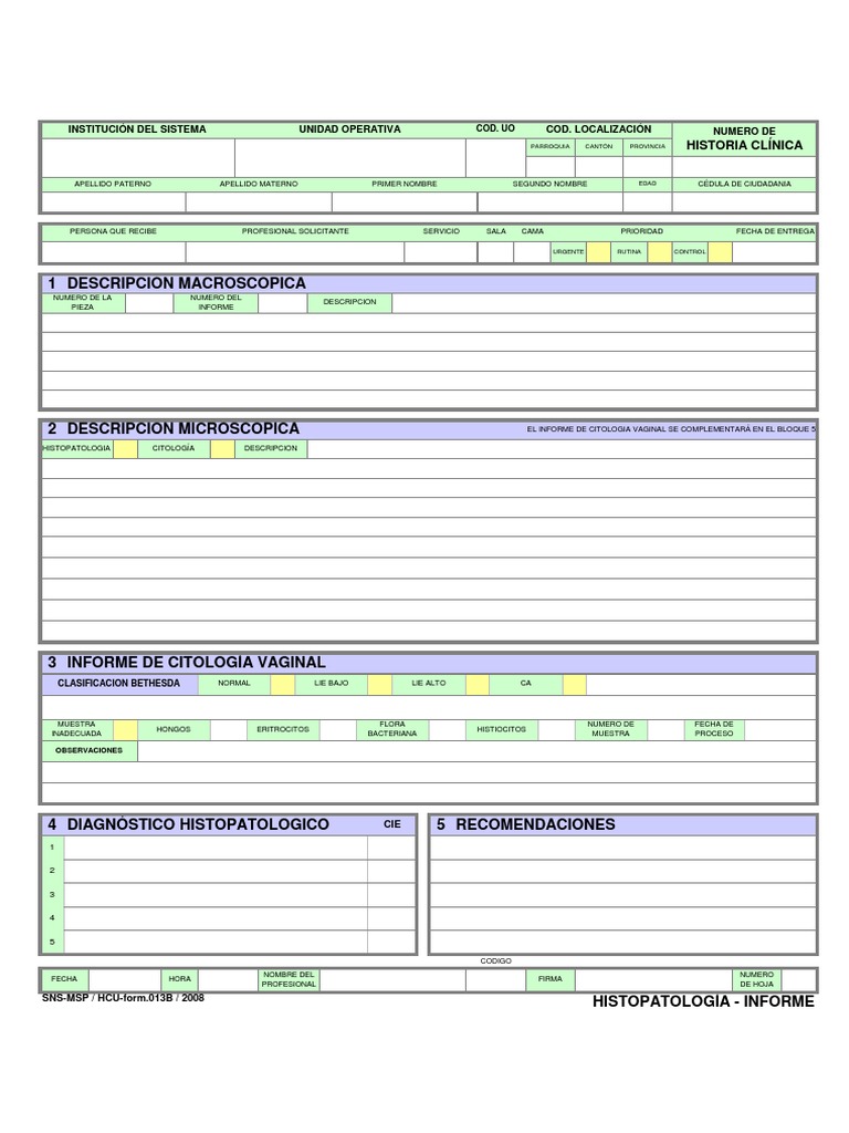 Form. 013 B - 2008 - HISTOPATOLOGIA-INFORME | PDF | Medicina ...