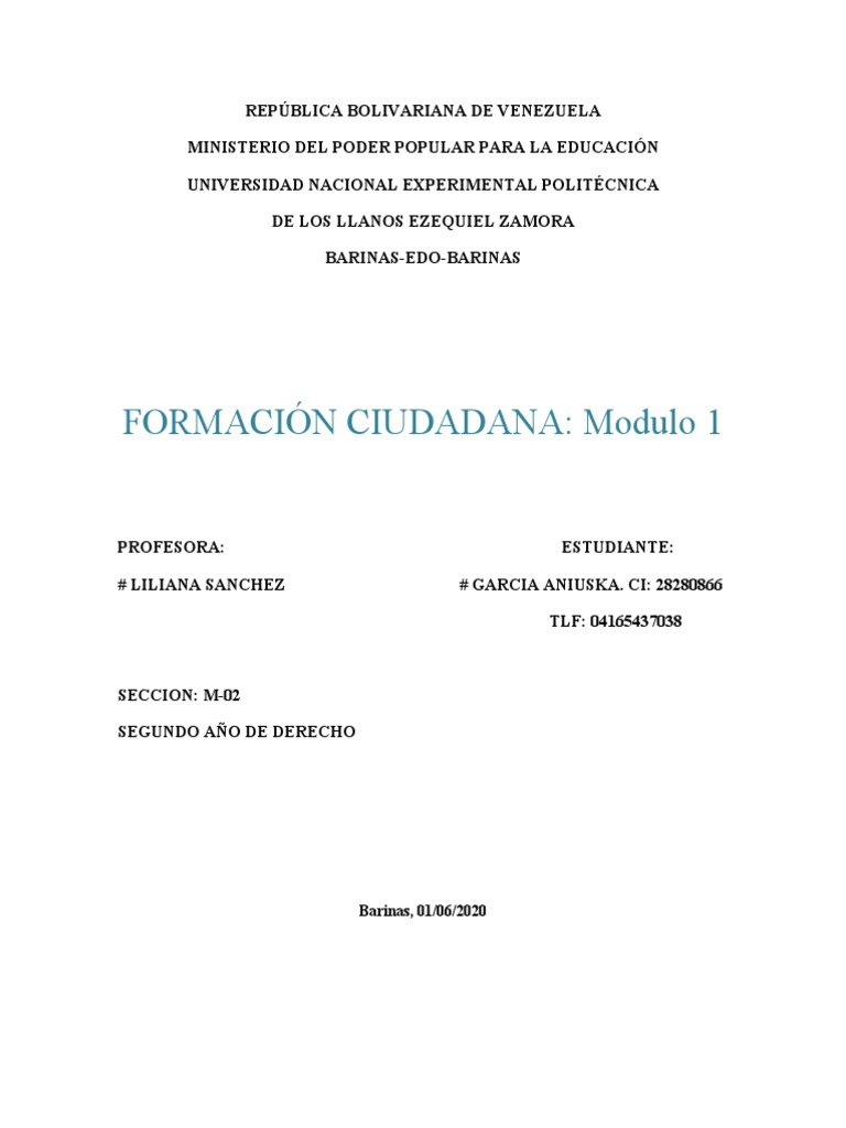 Formacion Ciudadana Modulo 1 Pdf Familia Ciudadanía