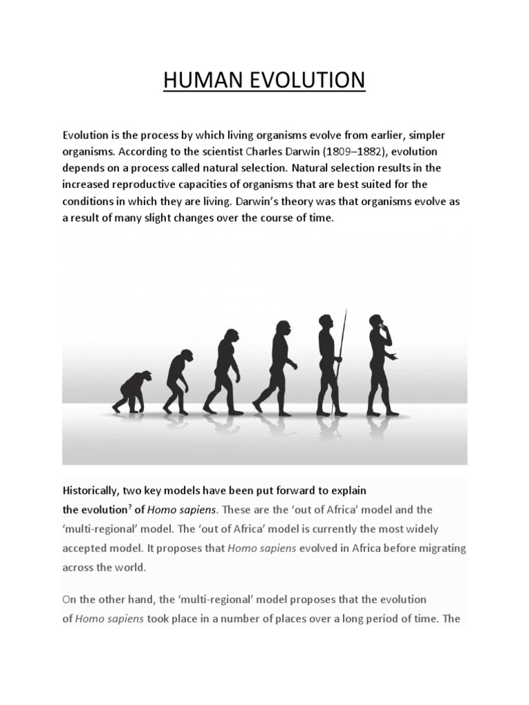 Human Evolution | PDF | Homo Sapiens | Evolution