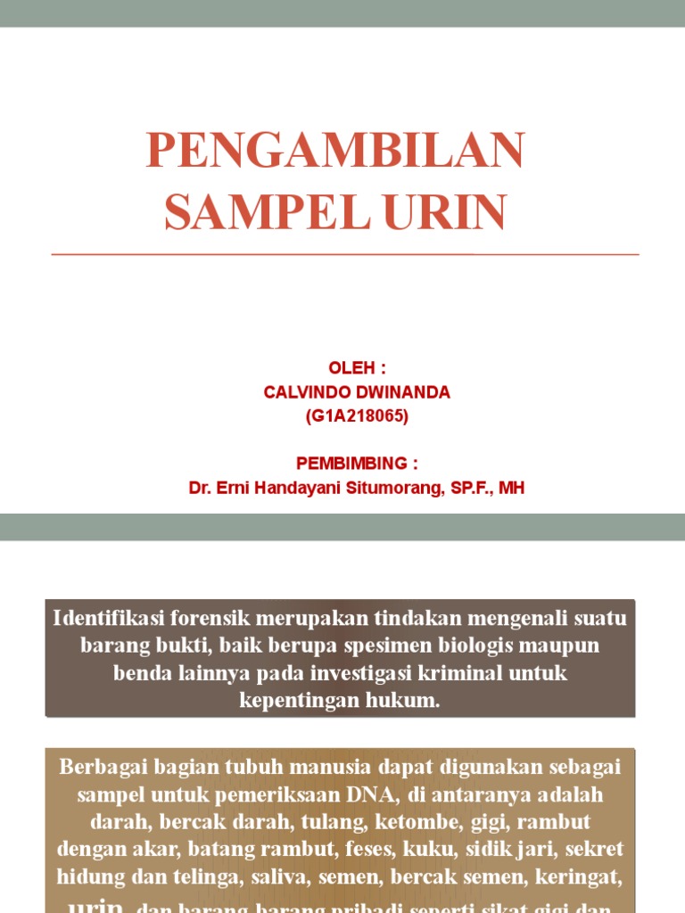 Pengambilan Sampel Urin | PDF