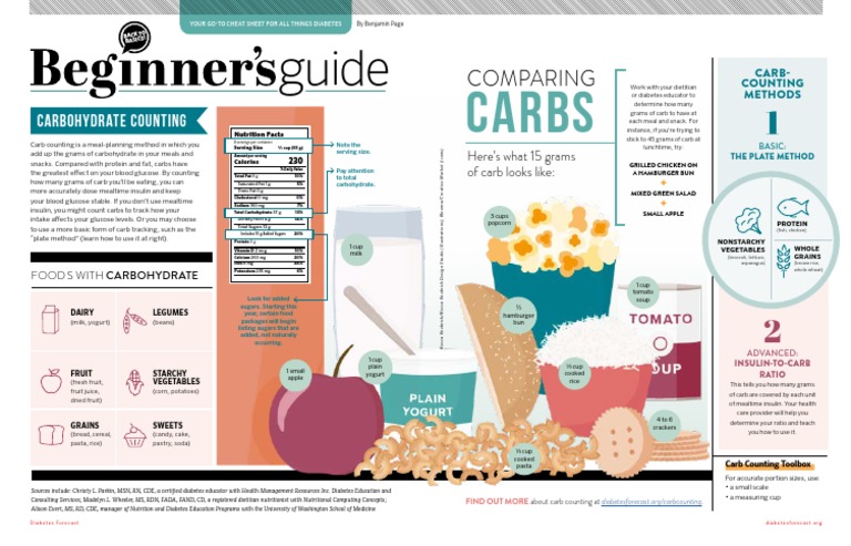 2020 Beginner Guide Carbohydrate Counting | PDF | Carbohydrates | Cereals