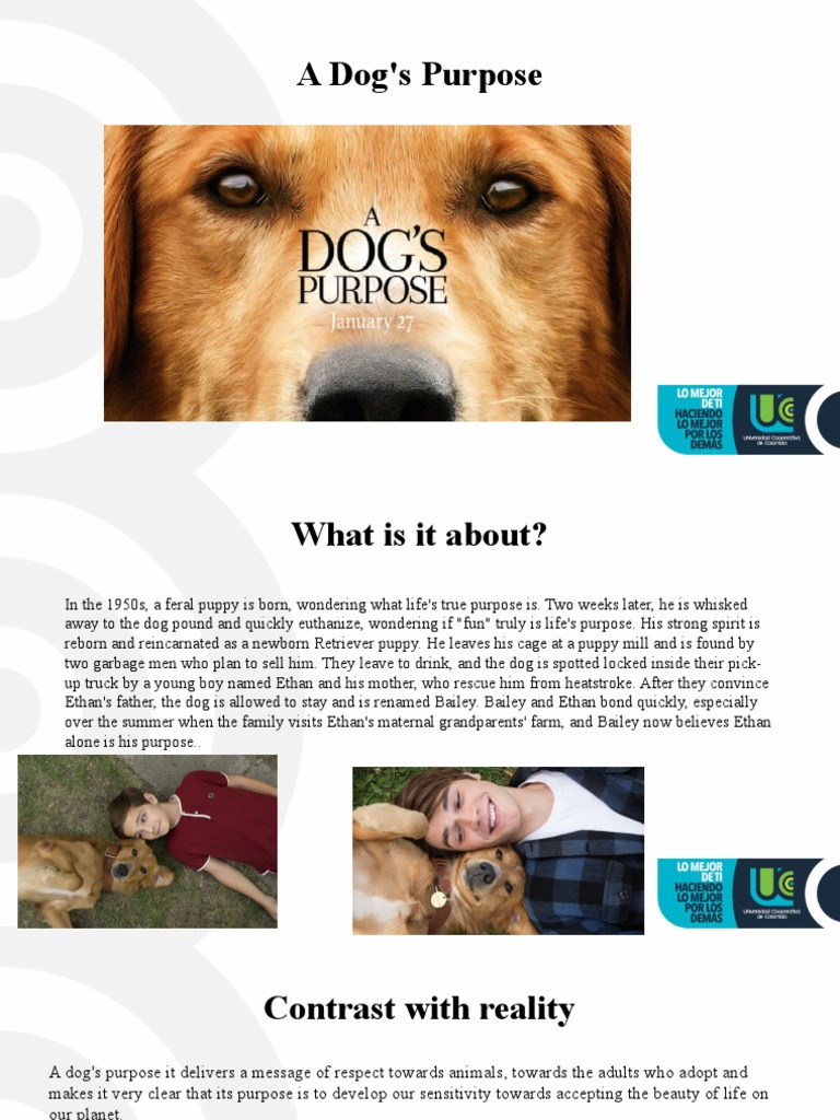 A Dogs Purpose | PDF