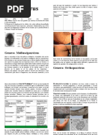 Constantes Corpusculares | PDF | Glóbulo rojo | Lupus eritematoso sistémico