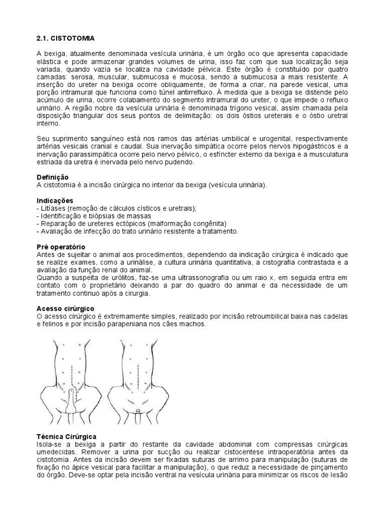 Cistotomia e Cistostomia | PDF | Bexiga urinária | Aparelho geniturinário