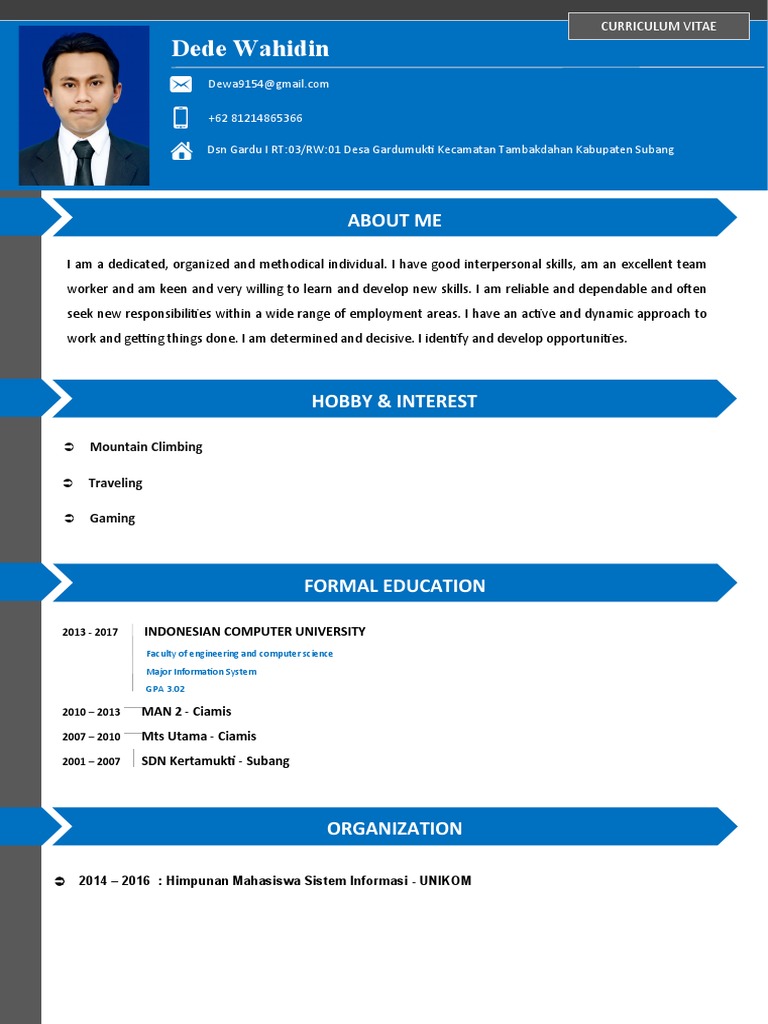 Dede Wahidin's CV: IT Specialist | PDF