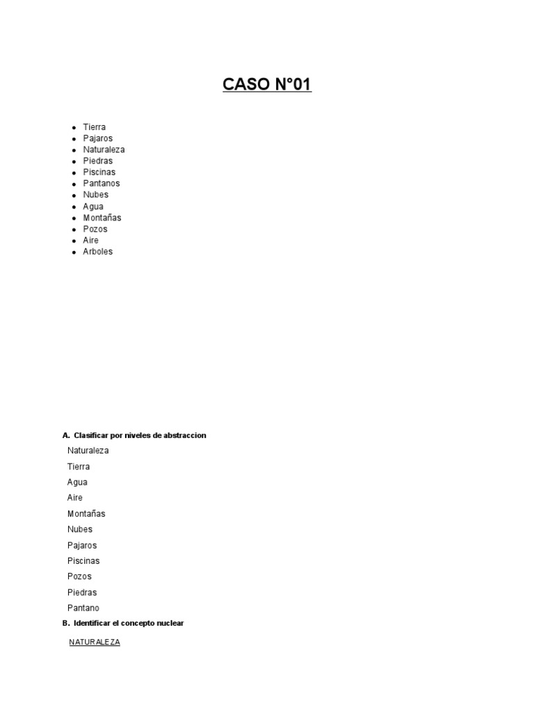 Caso N°1 | PDF