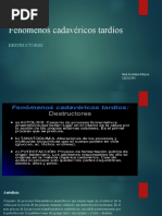 Fase Cromatica, Enfisematosa, Licuefactiva, Esqueletización y ...