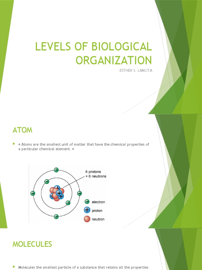 Levels of biological organization from atoms to biosphere | PDF | Life ...