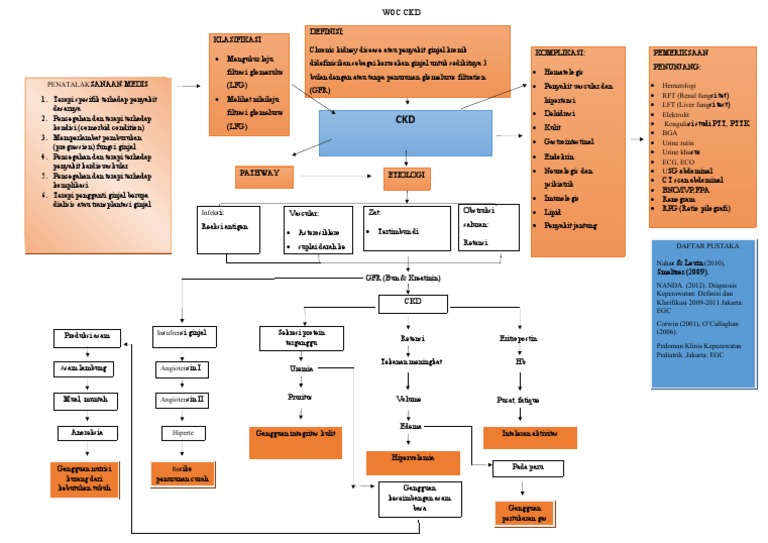 Pathway Penanganan CKD dan Komplikasinya | PDF
