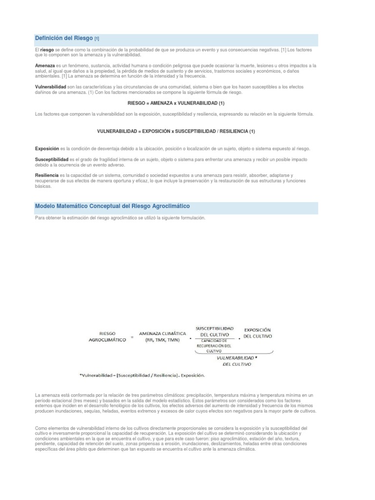 Definición Del Riesgo | PDF | Vulnerabilidad | Riesgo