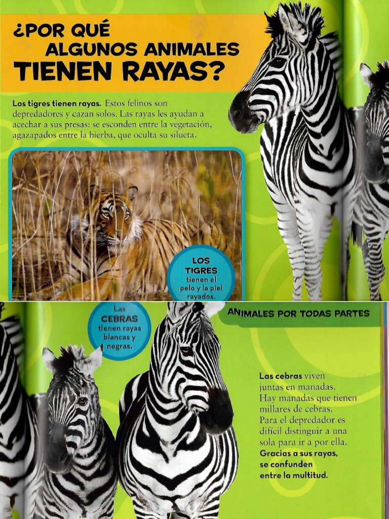 CLASES 13 Y 14-Por Qué Algunos Animales Tienen Rayas PDF | PDF