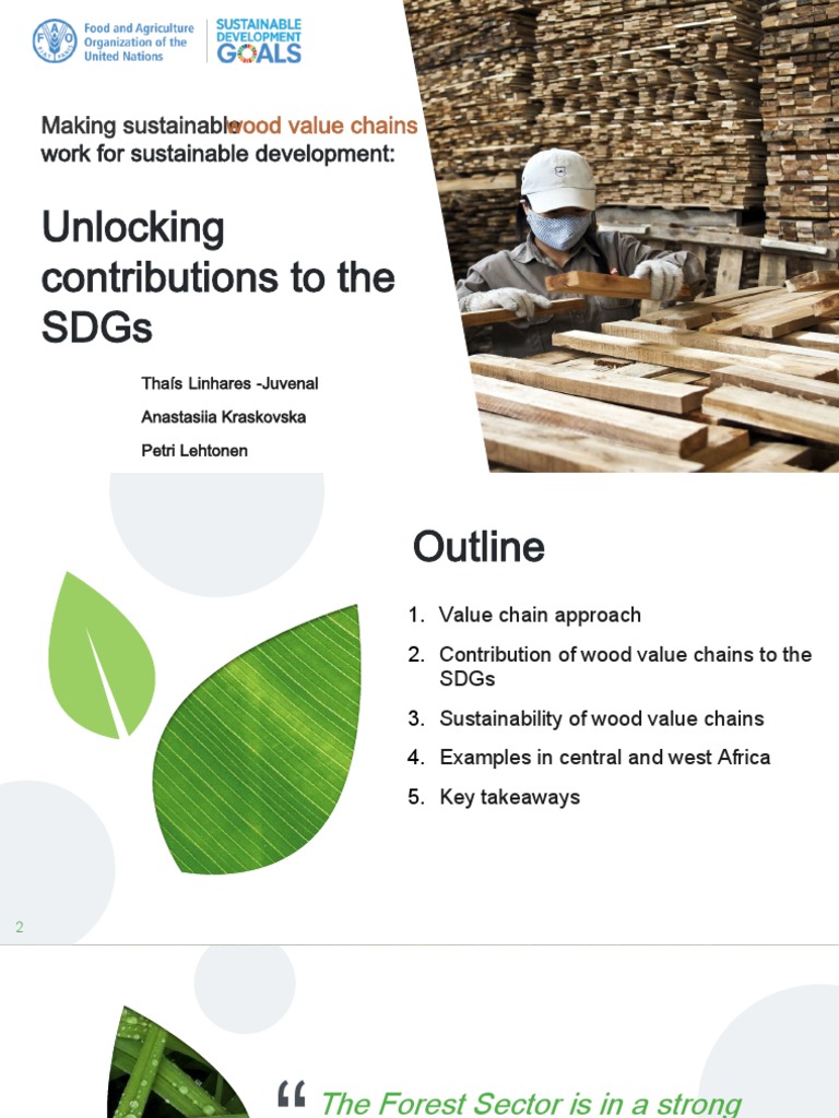 Unlocking Contributions To The SDGS: Wood Value Chains | PDF | Value ...