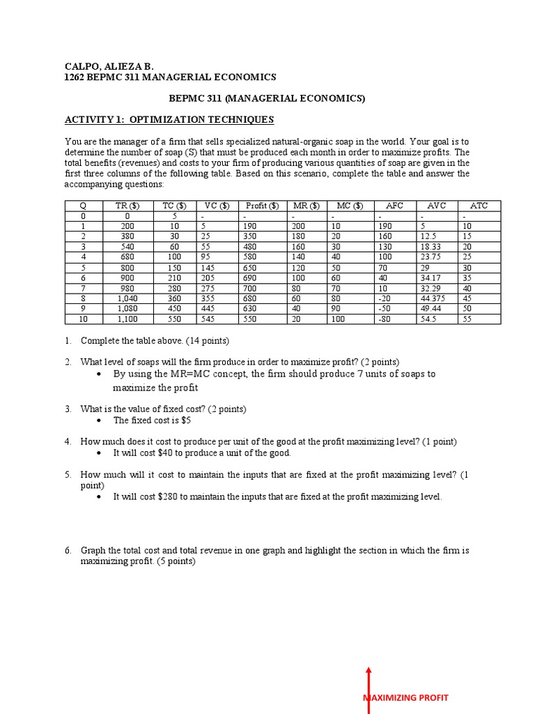 Activity Optimization Techniques | PDF | Microeconomics | Market (Economics)