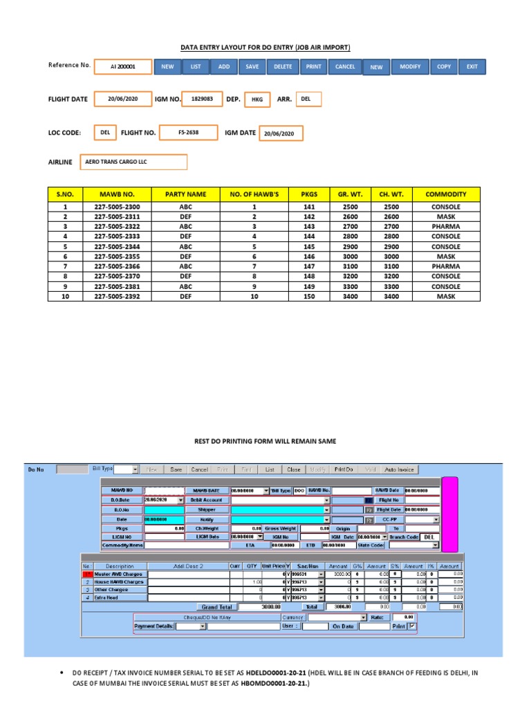 Data Entry Layout For Do Entry | PDF