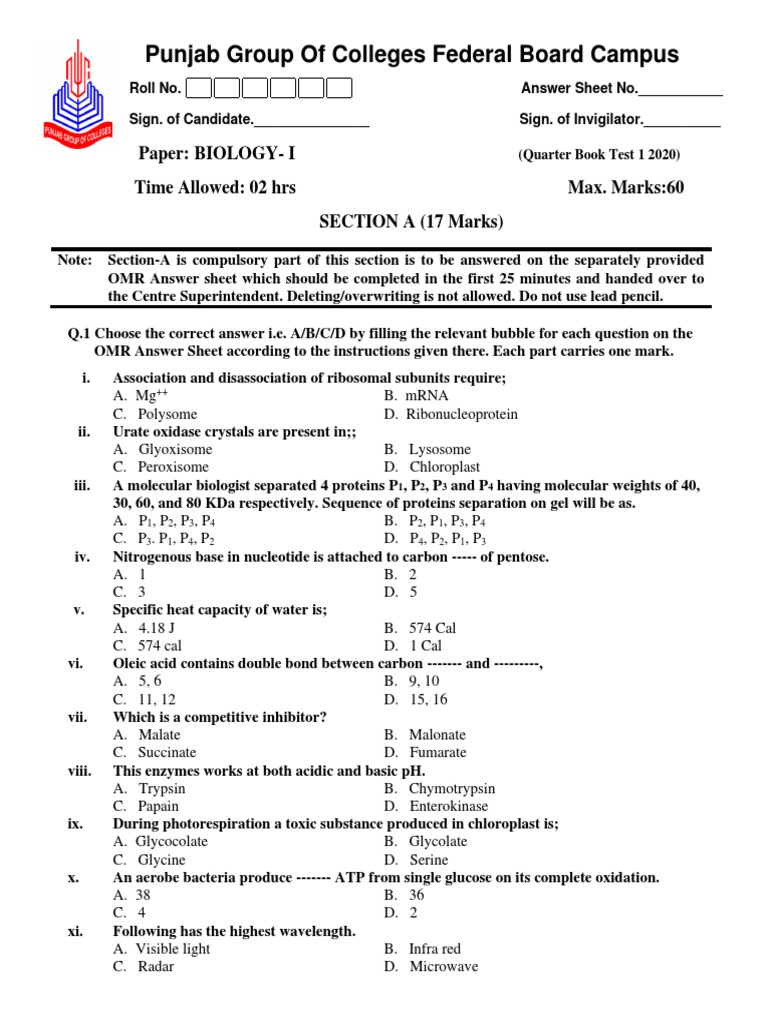Bio-1 1ST QTR PDF | PDF | Enzyme | Cofactor (Biochemistry)