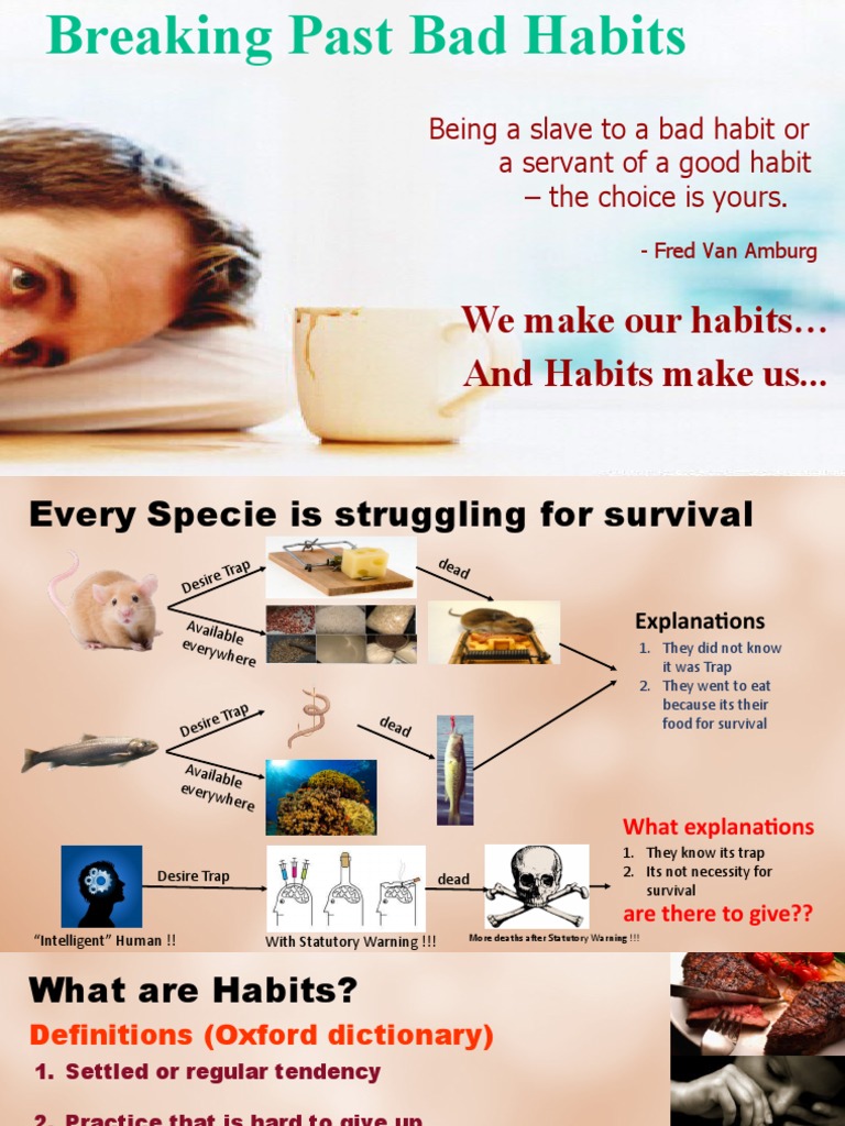 Breaking Past Bad Habits | PDF | Mind | Adolescence