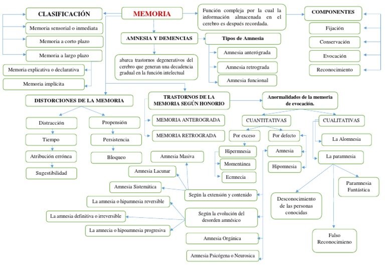 Mapa Psicopatología de La Memoria | PDF | Amnesia | Memoria