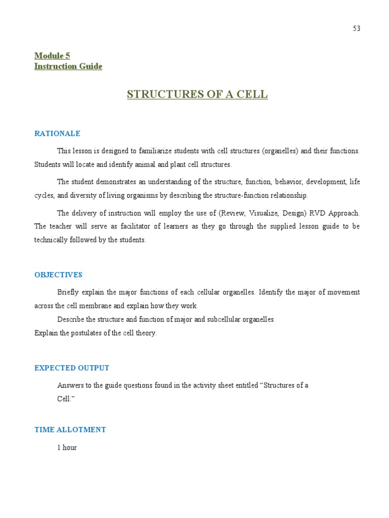 Structures of A Cell: Instruction Guide | PDF | Cell (Biology) | Cell ...