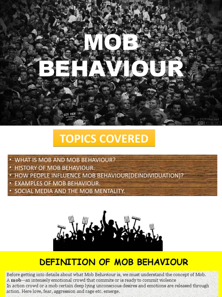 Mob Behaviour | PDF | Cognitive Science | Psychological Concepts