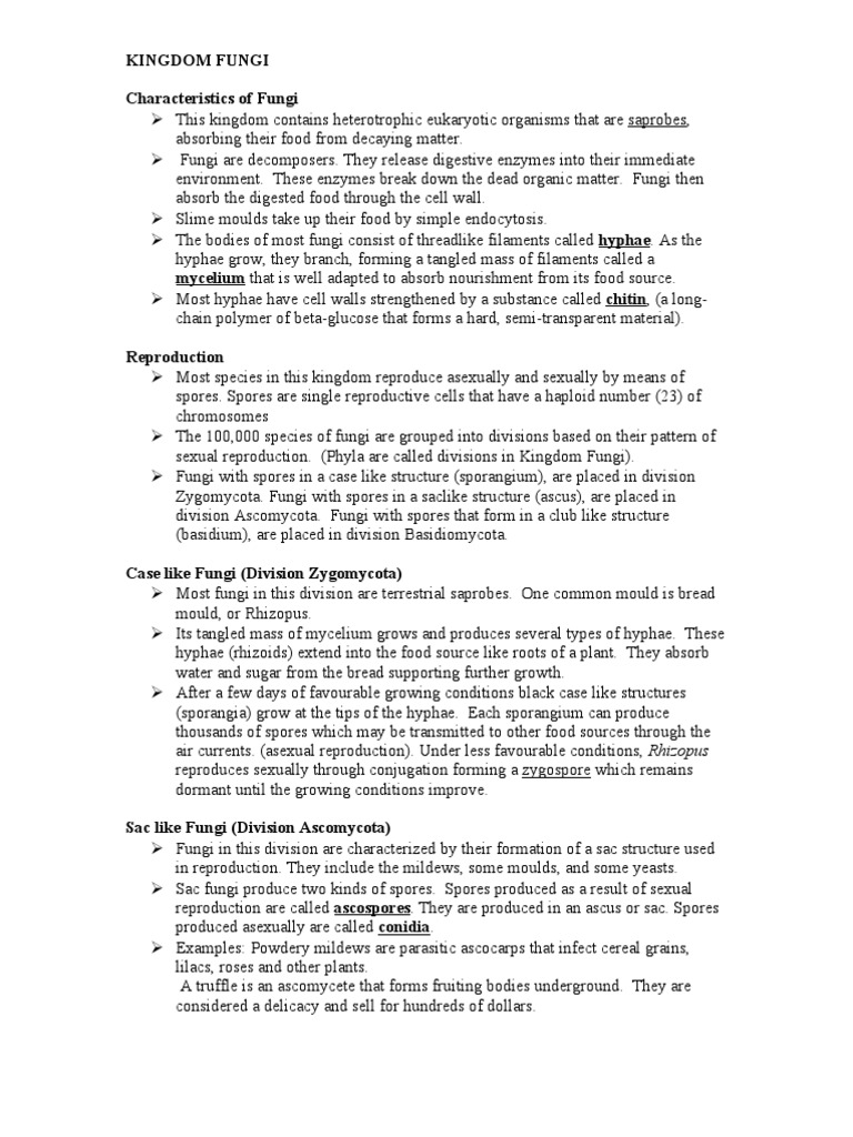 Kingdom Fungi Notes | PDF | Fungus | Yeast