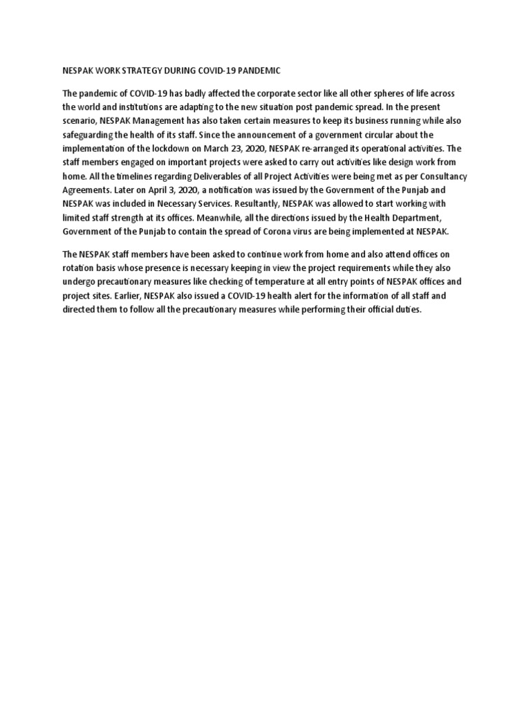 Nespak Work Strategy | PDF