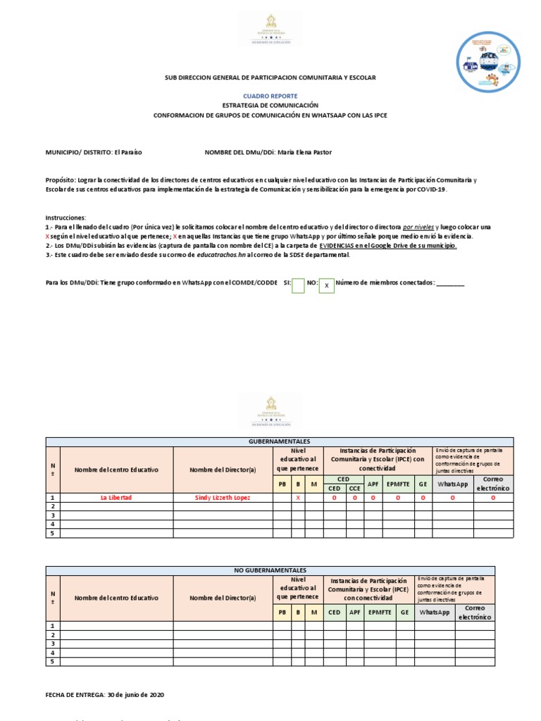 Cuadro Reporte de Conectividad Con Las IPCE (FORMATO) | PDF