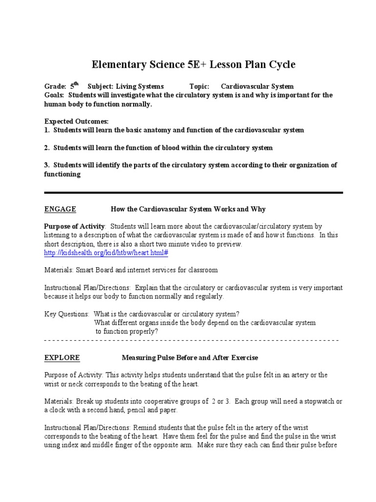 5th Grade Cardiovascular Lesson | PDF | Circulatory System | Blood Vessel