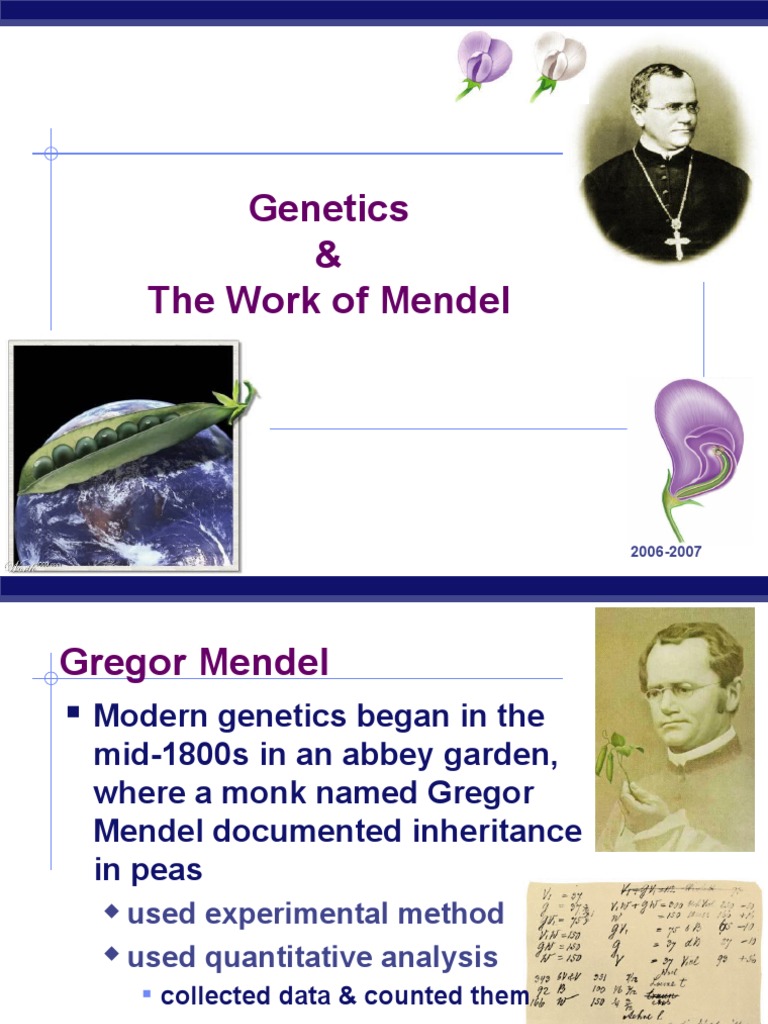 Genetics & The Work of Mendel: AP Biology | PDF | Zygosity | Allele