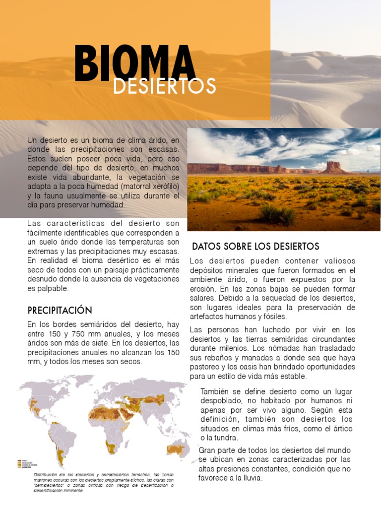 Hoja De Trabajo Sobre El Bioma Del Desierto Presentación Desierto