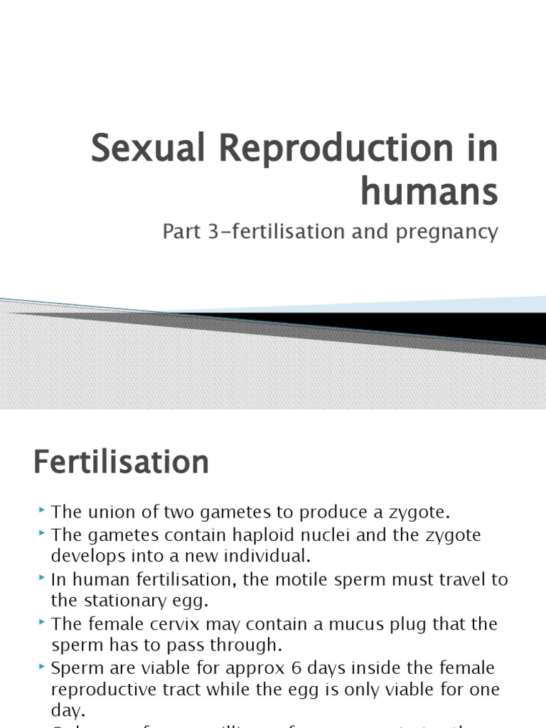 Sexual Reproduction in Humans Part 3 | PDF | Placenta | Implantation ...