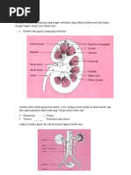 Sop Pemeriksaan Urine Lengkap | PDF