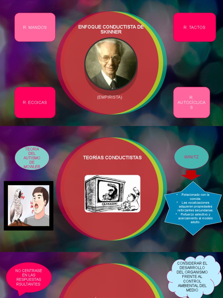 Enfoque Conductista de Skinner | PDF