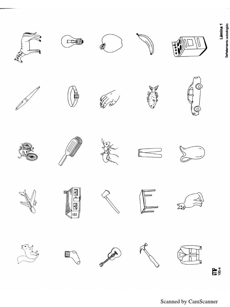 Láminas Banfe 2 | PDF