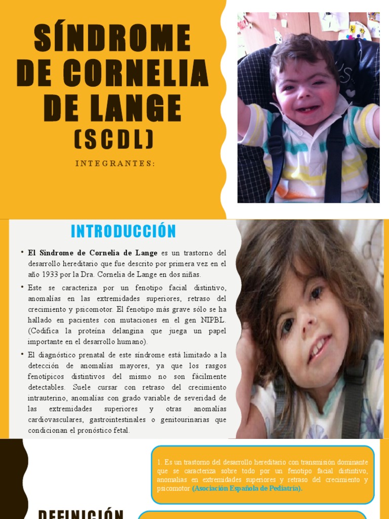 SÍNDROME DE CORNELIA DE LANGE (SCDL) | PDF | Gene | Mutación