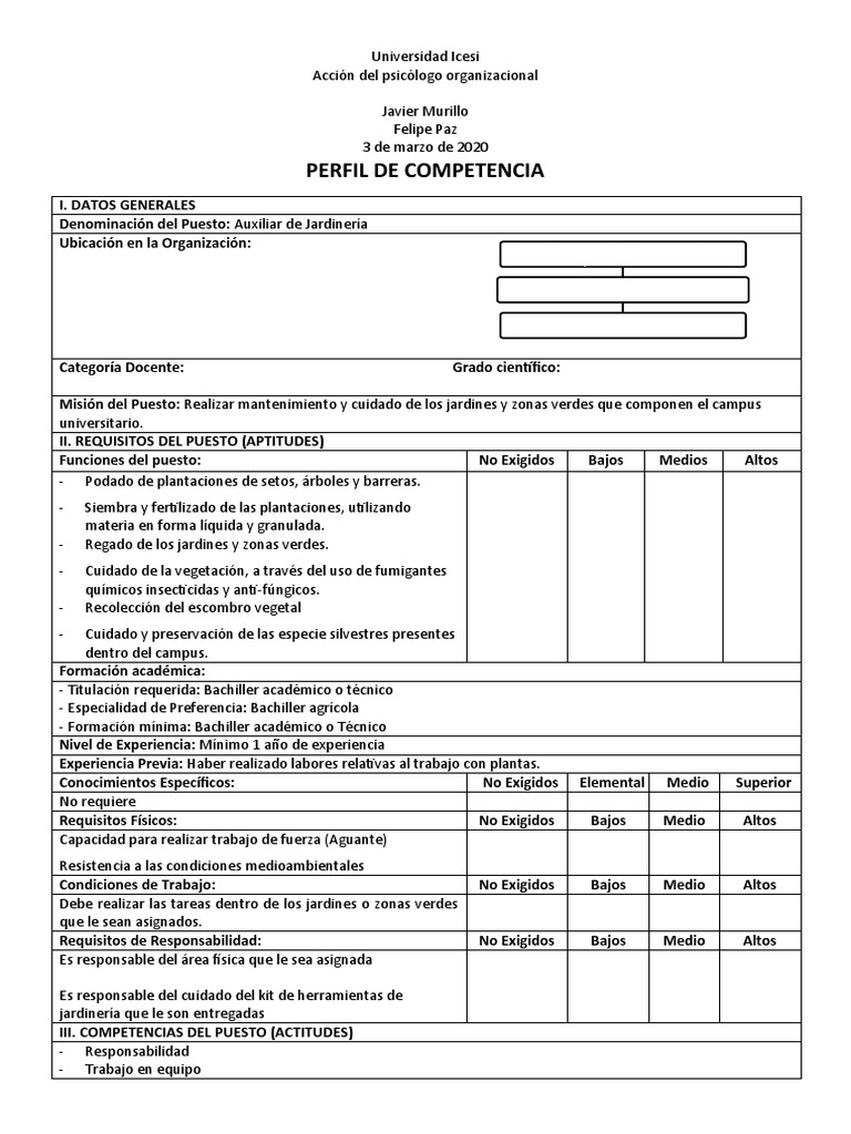Formato Perfil de Competencia | PDF