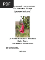 Plantas Medicinales de La Sierra | PDF