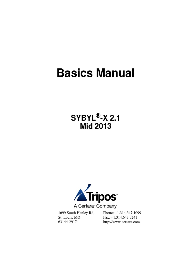 Sibyl Basic Manual | PDF | Shell (Computing) | Command Line Interface