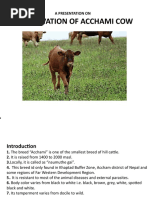 Overview of The Beef Cattle Industry | PDF