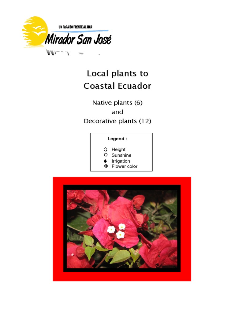 Coastal Ecuador Local Plants | PDF | Coconut | Arecaceae