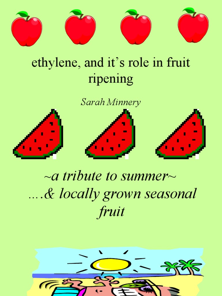 Ethylene, and It's Role in Fruit Ripening: Sarah Minnery | PDF