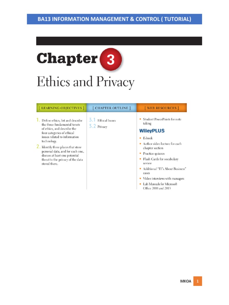 Information Systems Ethics and Privacy Issues | PDF