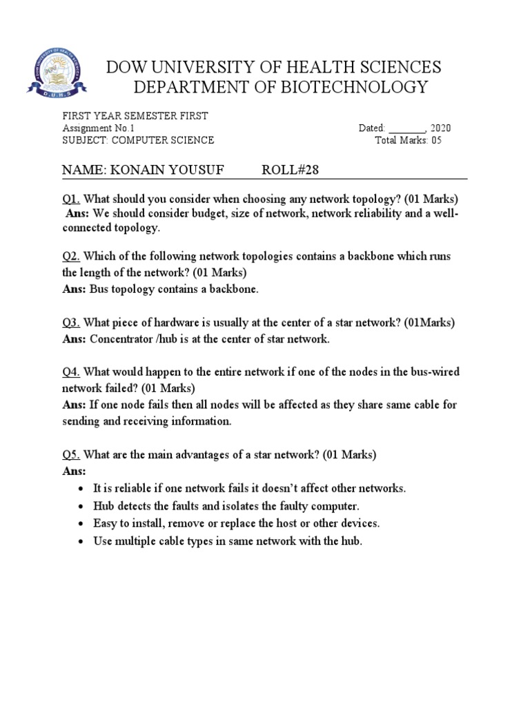 Computer Assignment | PDF