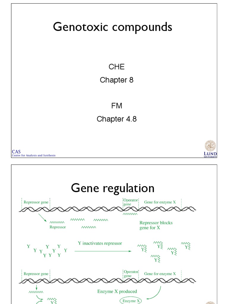 8 Genotox | Download Free PDF | Carcinogenesis | Oncogene