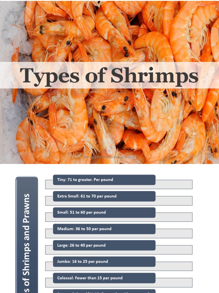 Types of Shrimp | PDF | Shrimp | Seafood