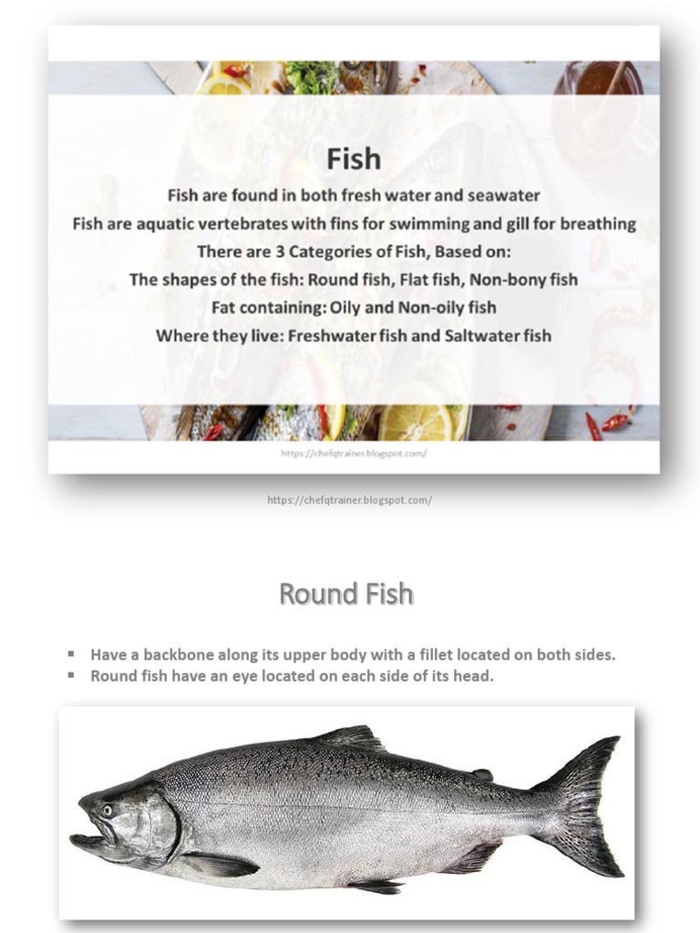 Types of Fish | PDF