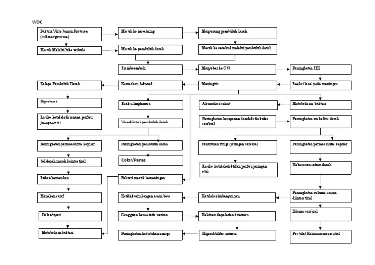 Woc Meningitis | PDF