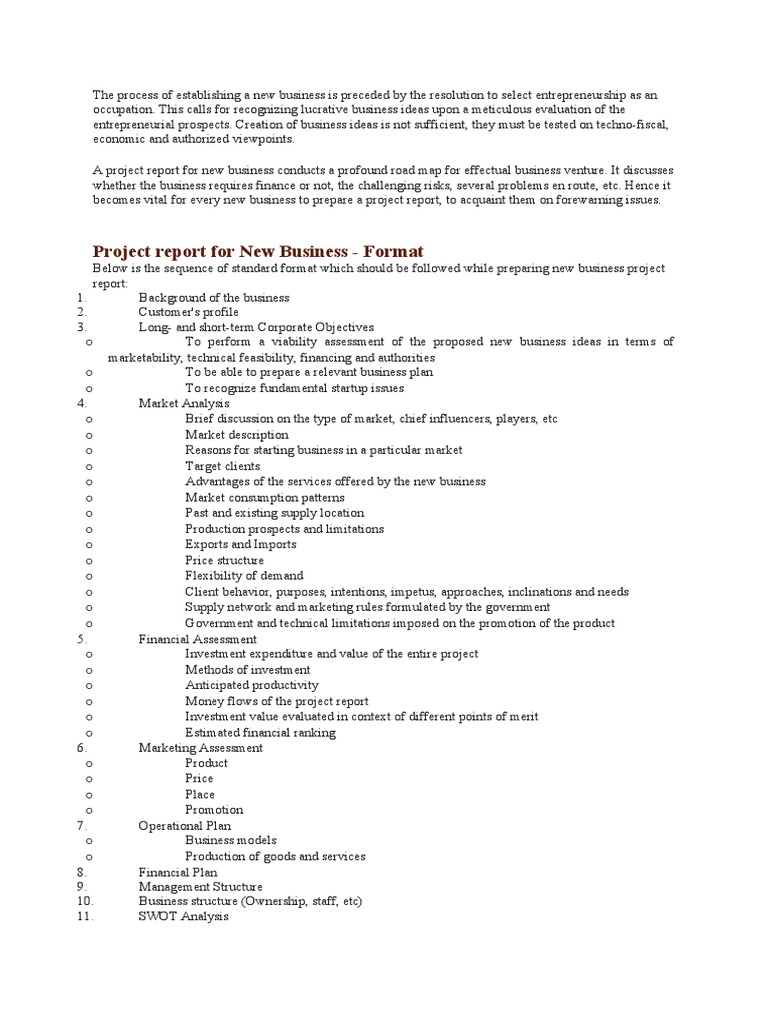 New Business Project Report Guide | PDF | Investing | Entrepreneurship