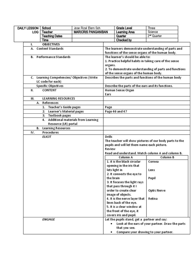 DAILY LESSON PLAN - Grade 3 - 1.1 | PDF | Ear | Eye